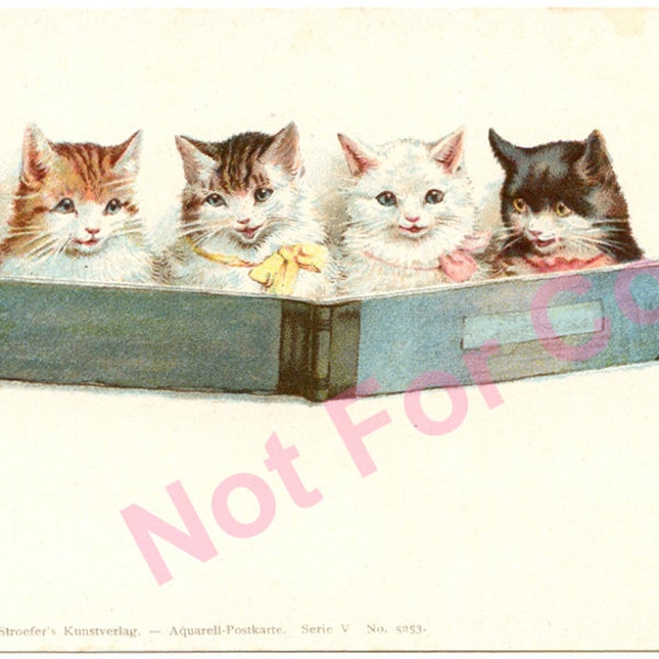 Helena Maguire Cats - Etsy