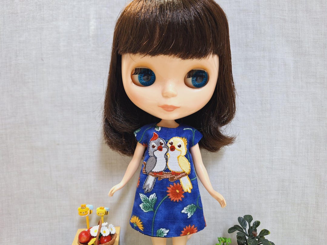 Dress for Blythe, Licca, Skipper, Susie Sad Eyes - Etsy
