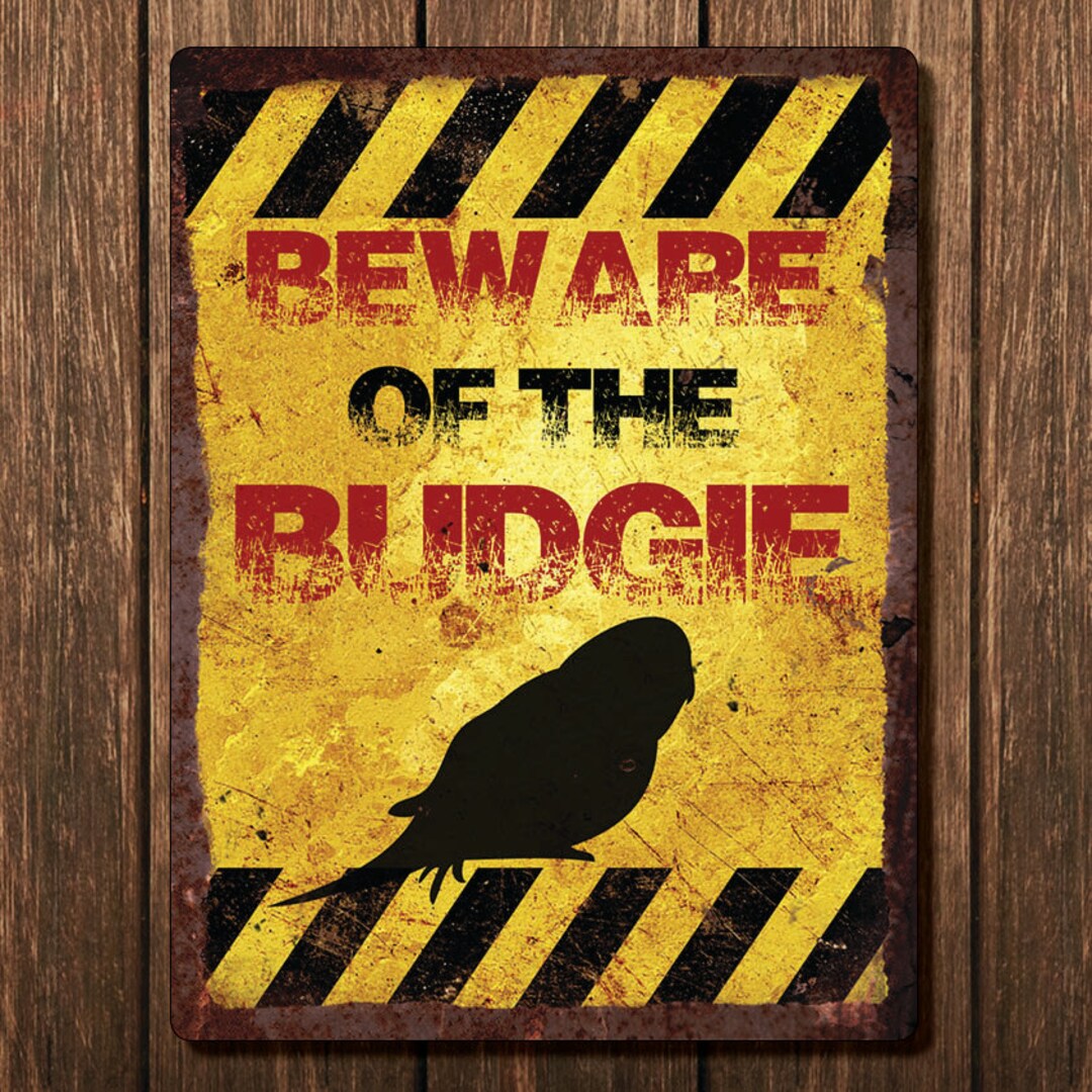 Vintage Metal Wall Sign Beware of the Budgie BEWARE00017 - Etsy