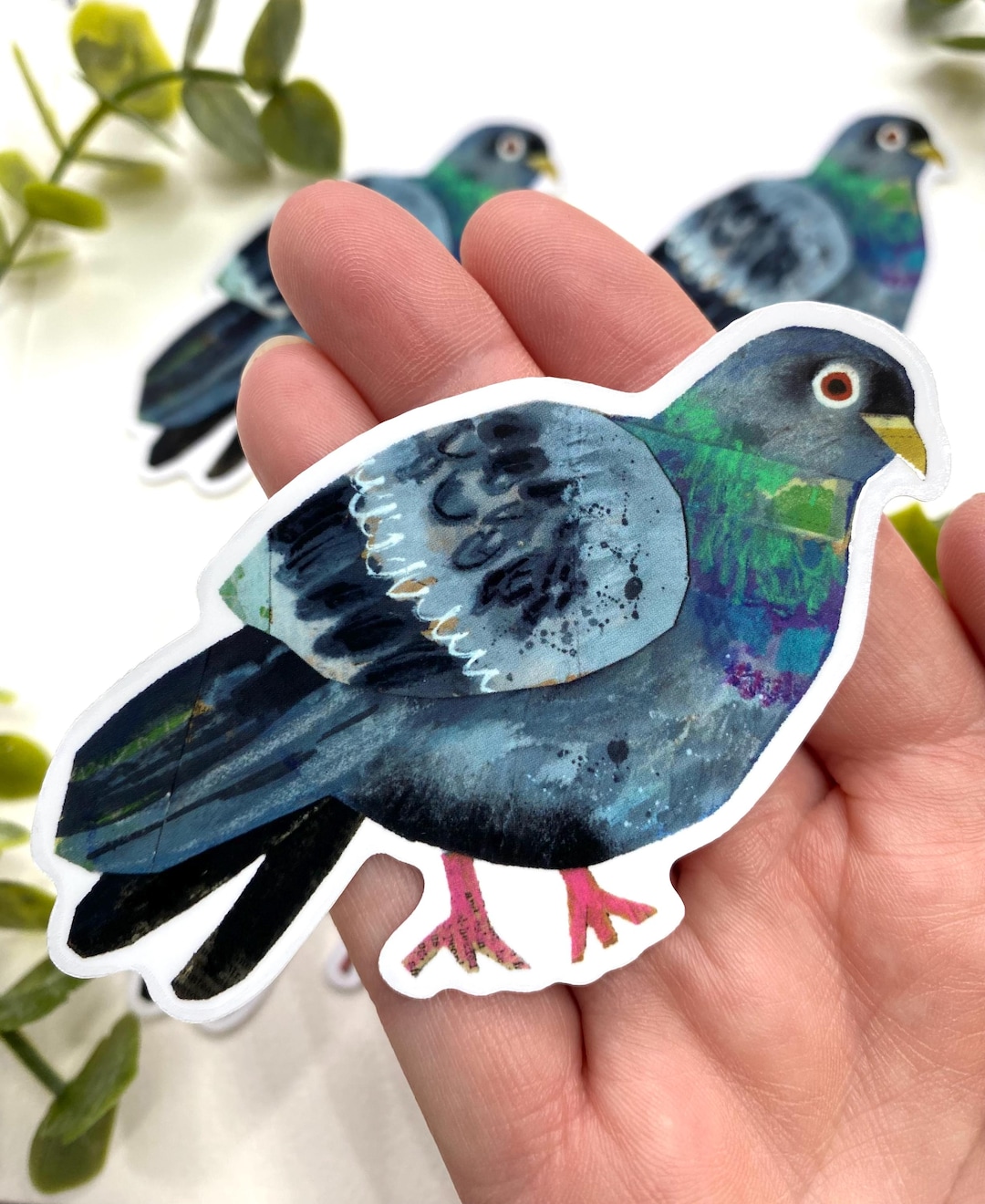 Rock Pigeon Vinyl Sticker | Pigeon Art|cute Nature Sticker|wildlife ...