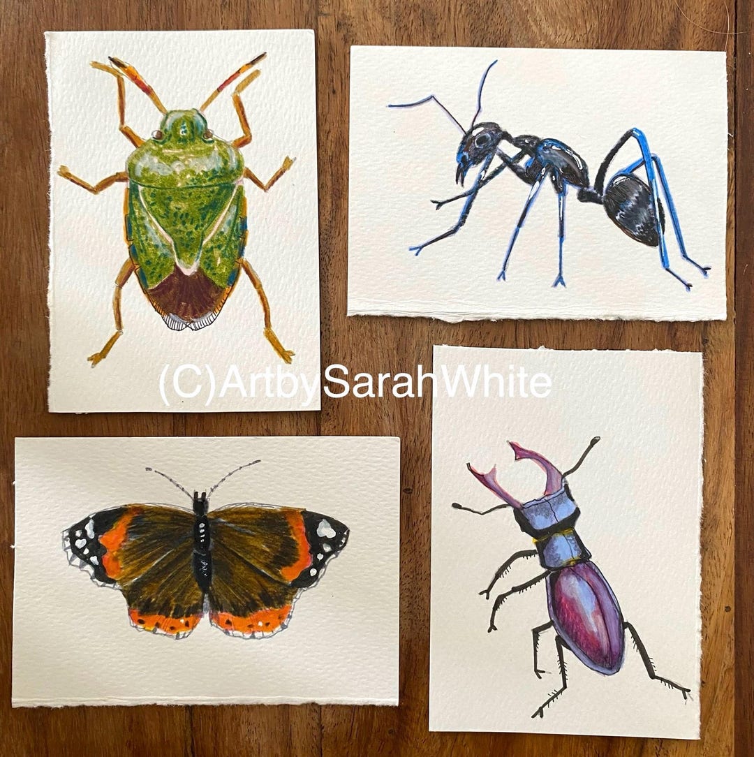 Original Insects Mini Paintings | Insects | Wildlife Art | Bugs ...
