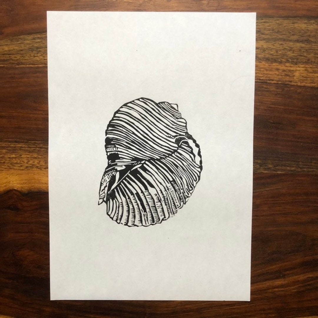 Sea Shell - Original Lino Cut Print - Etsy