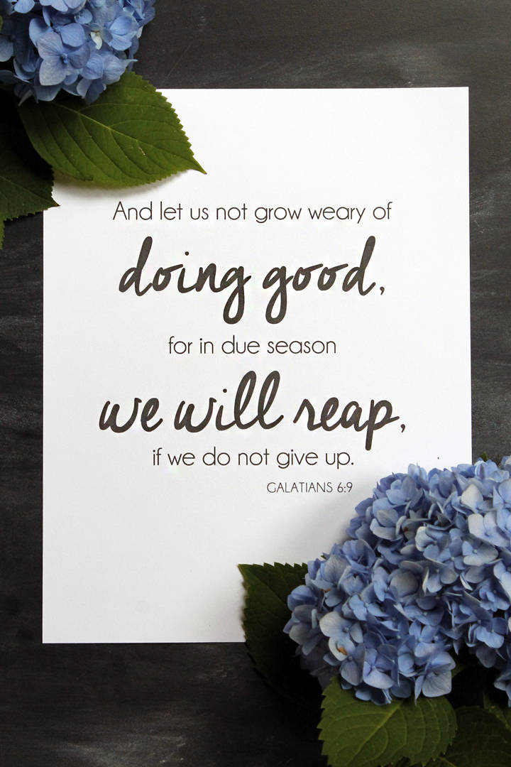 Galatians 6:9 Bible Verse | Christian Wall Art Print | Scripture Quote ...