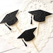 Graduation Party Decorations 2018, Graduation Hat Toppers, Cupcake ...