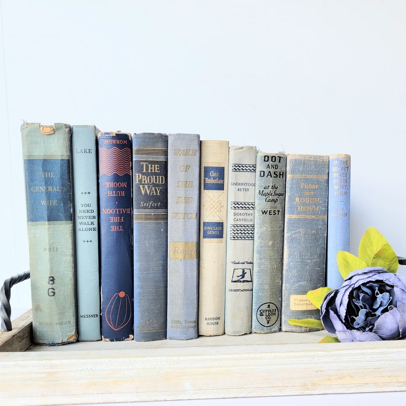 Blue Books - Etsy