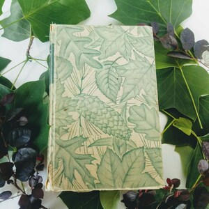 Tree Book. Trees Yearbook of Agriculture 1949. Pattern Leaves on Boards ...