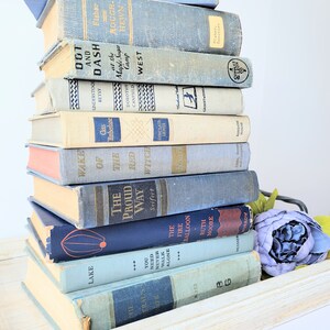 Slate Blue Books. Books by the Foot. Vintage Blue Books. Light Blue ...