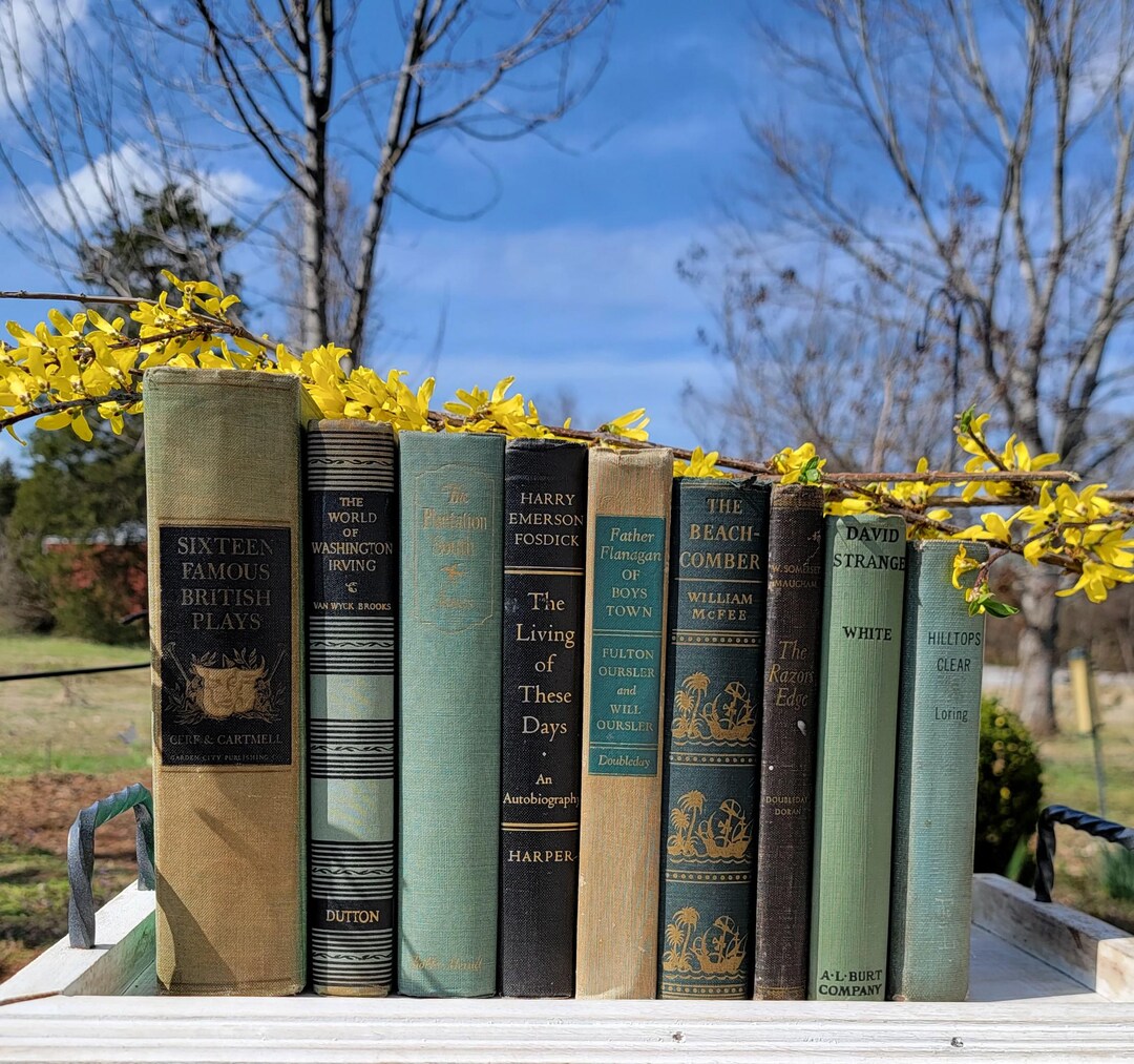 Green Books by the Foot. Vintage Green Books. Green Mix Book Bundle ...