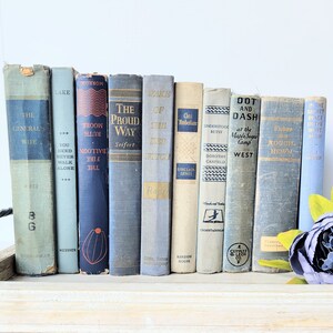 Slate Blue Books. Books by the Foot. Vintage Blue Books. Light Blue ...