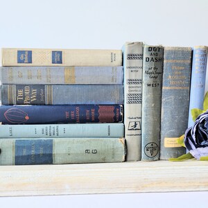 Slate Blue Books. Books by the Foot. Vintage Blue Books. Light Blue ...