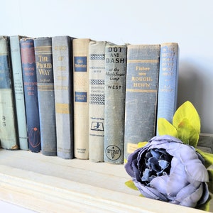 Slate Blue Books. Books by the Foot. Vintage Blue Books. Light Blue ...