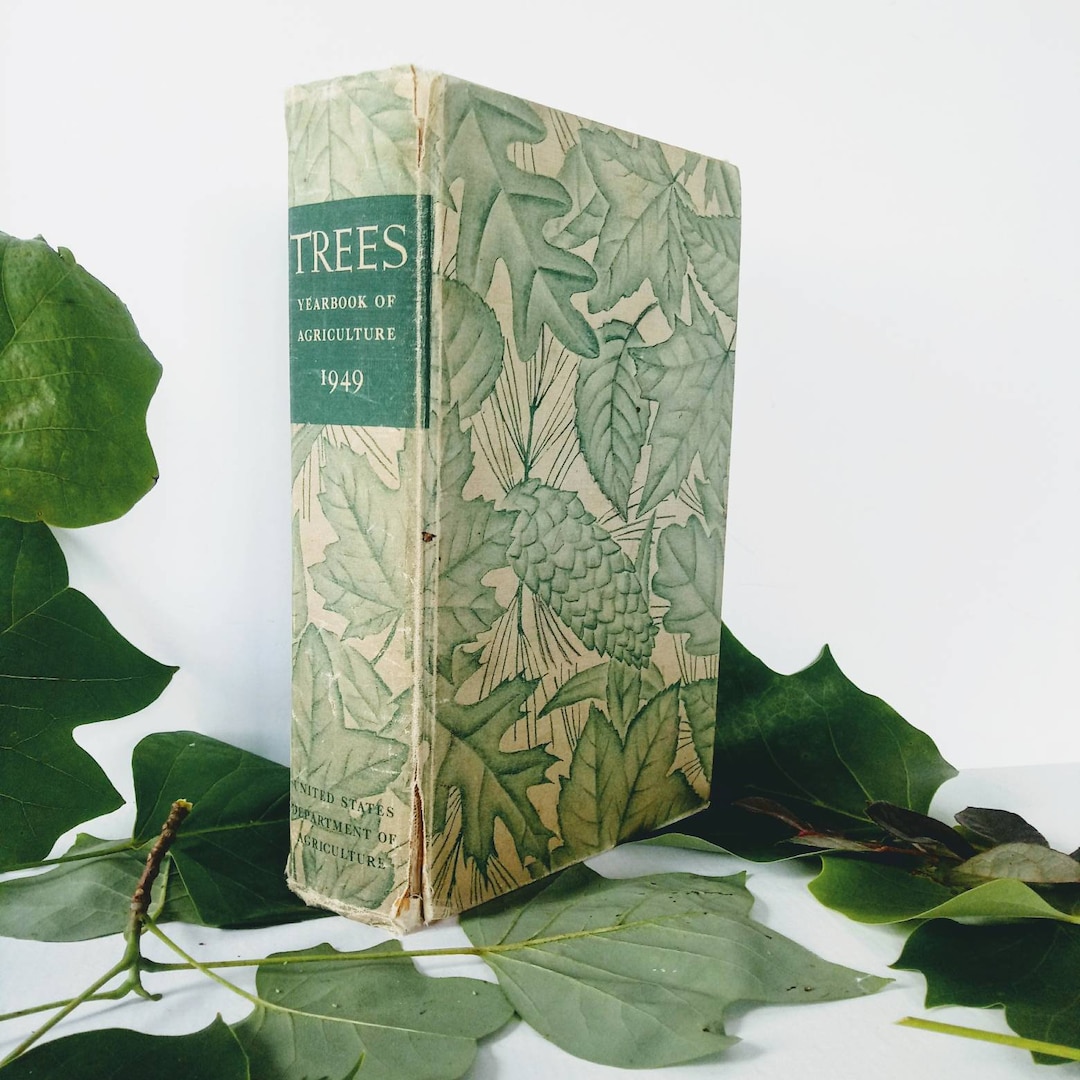 Tree Book. Trees Yearbook of Agriculture 1949. Pattern Leaves on Boards ...