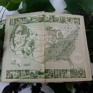 Tree Book. Trees Yearbook of Agriculture 1949. Pattern Leaves on Boards ...