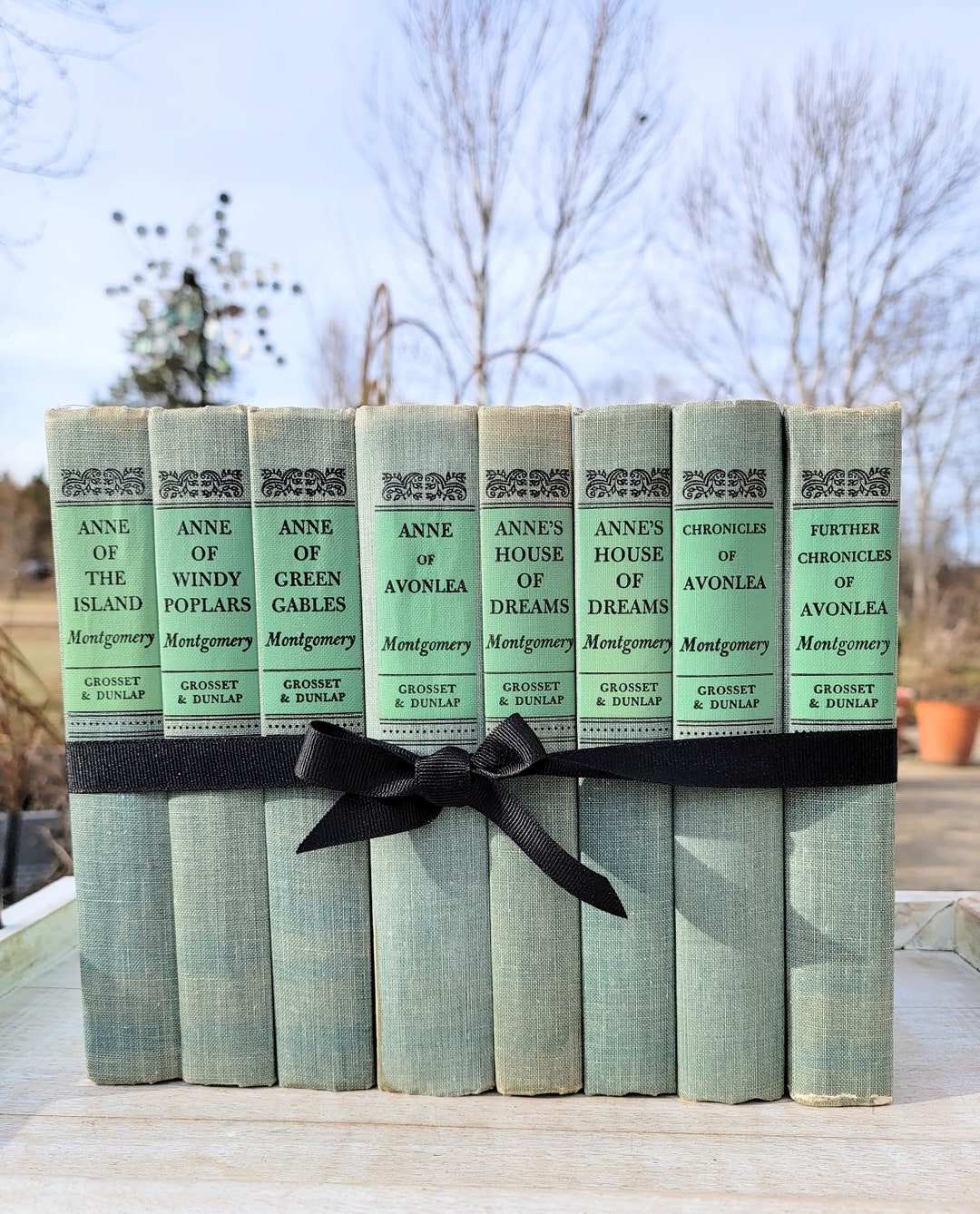 Anne of Green Gables Book Set. 8 Books in This Collection. Lucy Maud ...