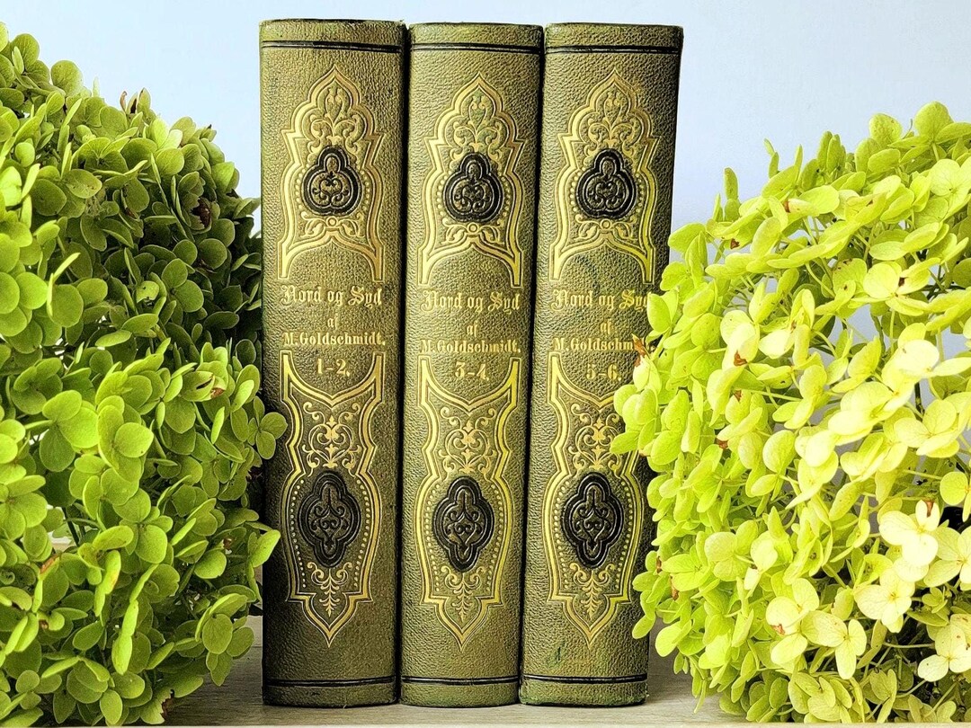 Danish Books. Nord Og Syd of M. Goldschmidt 1-2. Danish Language. Green ...