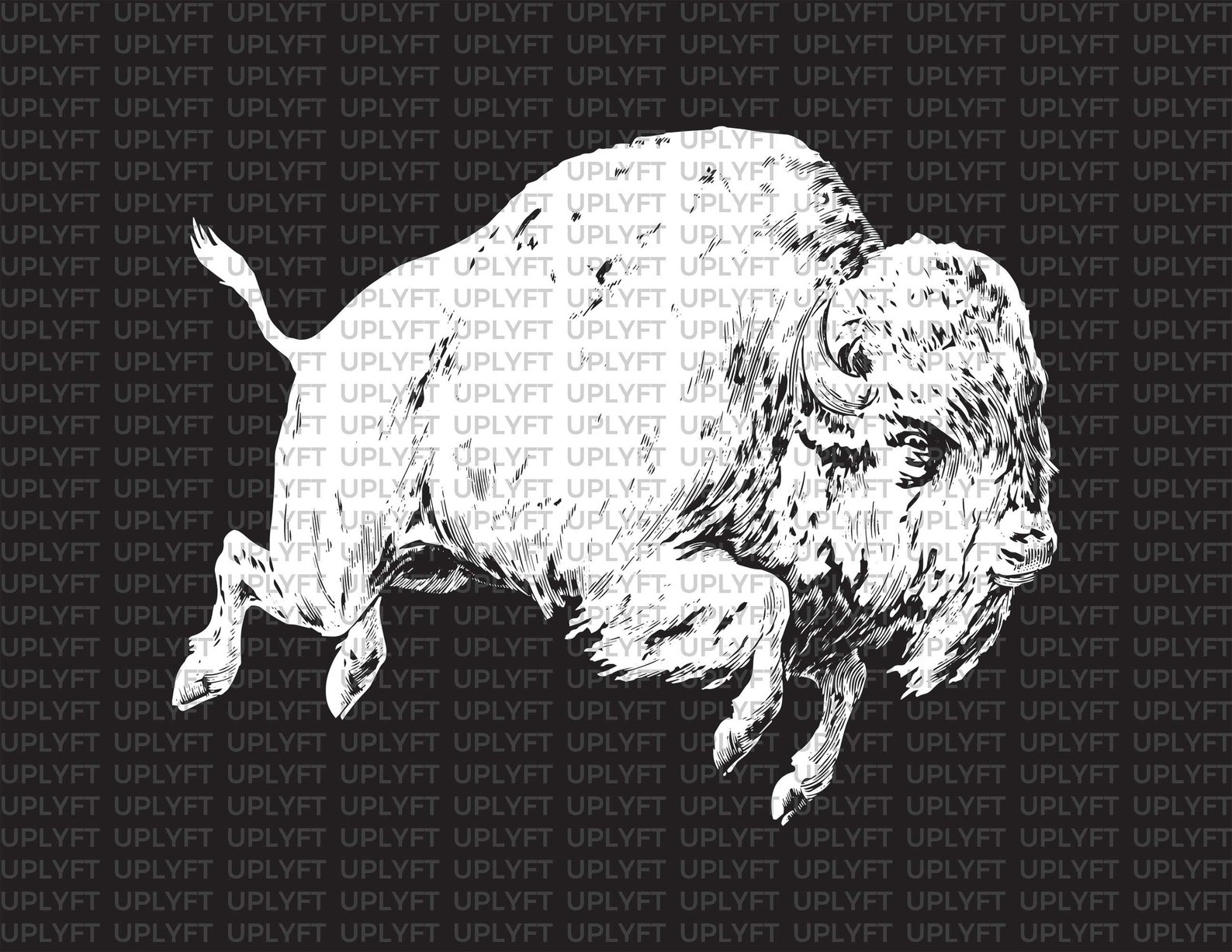 American Buffalo Vector SVG PDF Clip Art. Vintage Illustration Drawing ...