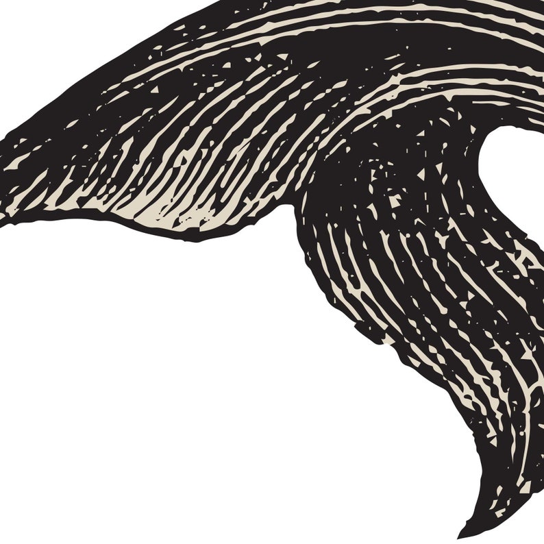 Whale Tail Vintage Style Illustration - Vector Art, SVG, Clip Art ...