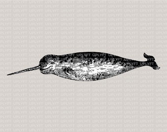 Narwhal Clip Art - Etsy