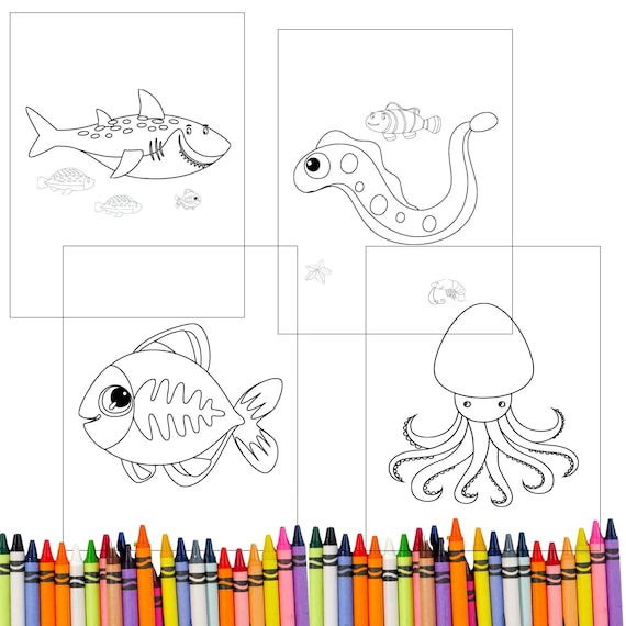 Dibujos Para Colorear De Animales Marinos De California