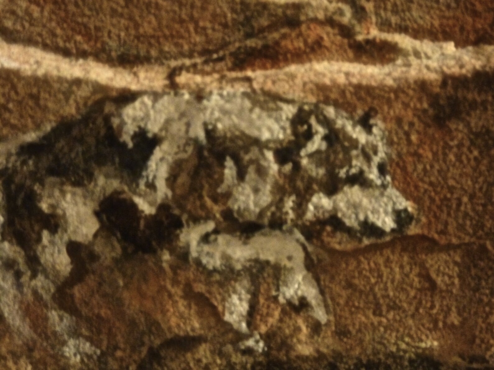 Moonlight Wolft Original Watercolor Stone Painting on Flagstone With a ...