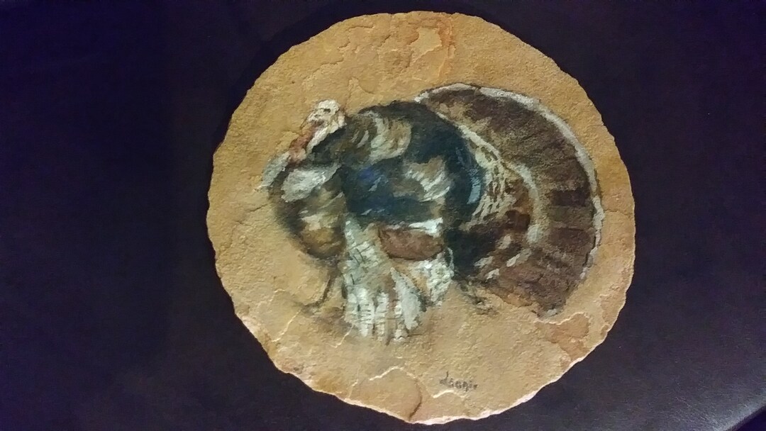 Turkey Stone Private, Original Hand Painted and Shaped - Etsy