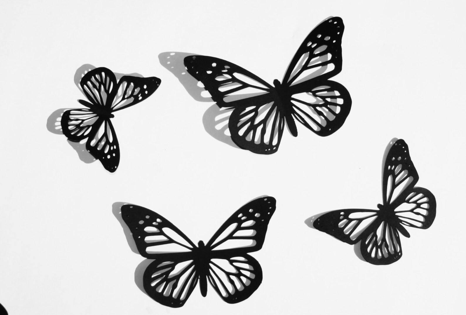 Monarch Butterfly Cutouts Black Paper Butterflies Black Monarch ...