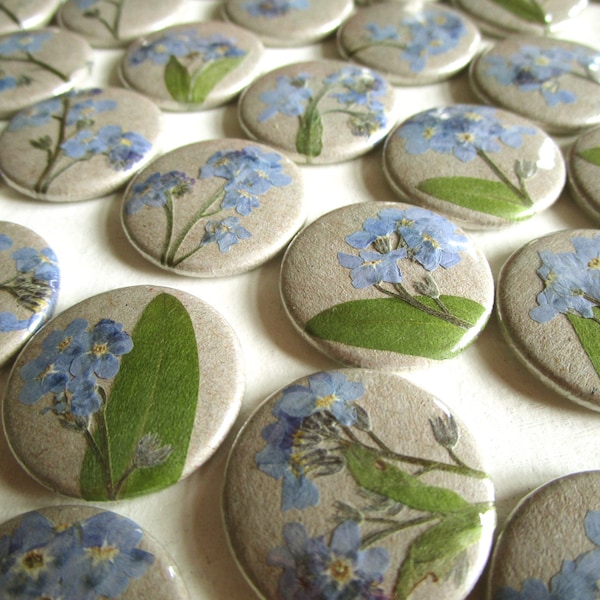 Forget Me Nots - Etsy
