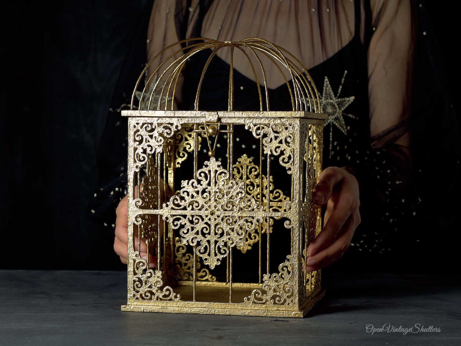 Gothic Card Box Wedding Centerpiece Birdcage for Taxidermy - Etsy