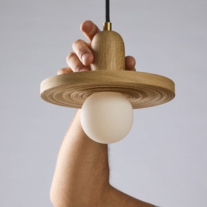 Oak Wood Pendant Lighting, Flat Disc Light Fixtures, Sculptural Veneer ...
