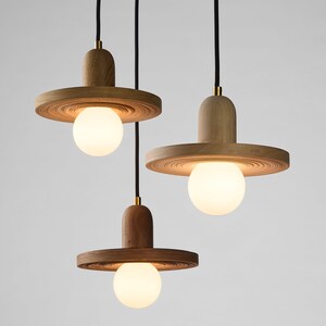 Oak Wood Pendant Lighting, Flat Disc Light Fixtures, Sculptural Veneer ...