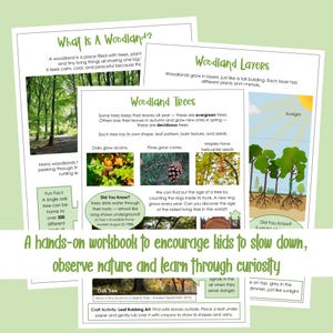JW Kids Woodland Workbook Printable Homeschool Nature Study | Forest ...