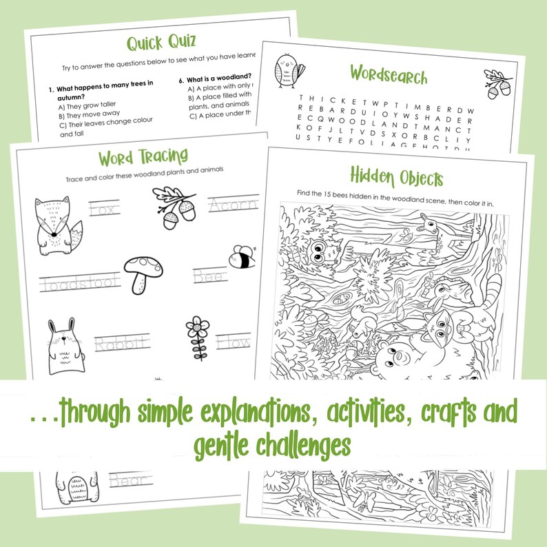 JW Kids Woodland Workbook Printable Homeschool Nature Study | Forest ...