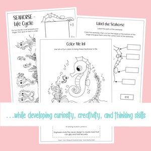 JW Kids Was It Designed? the Seahorse's Tail Family Worship Printable ...