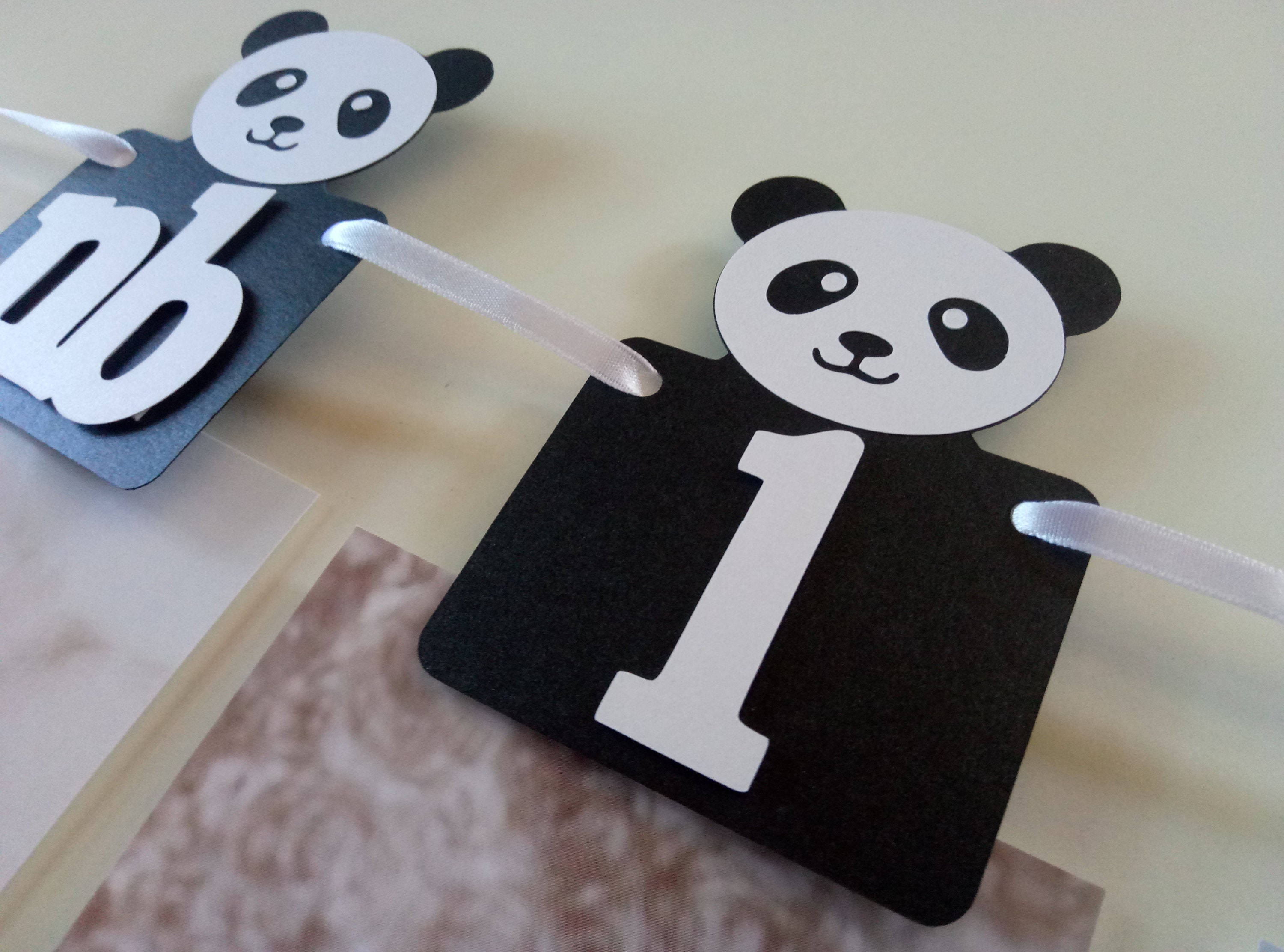 Panda Photo Banner Panda 12 Month Banner Monthly Photo | Etsy