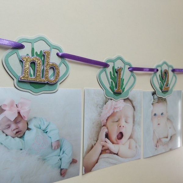12 Month Banner - Etsy