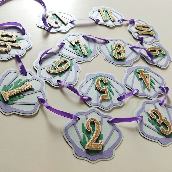 12 Month Banner - Etsy