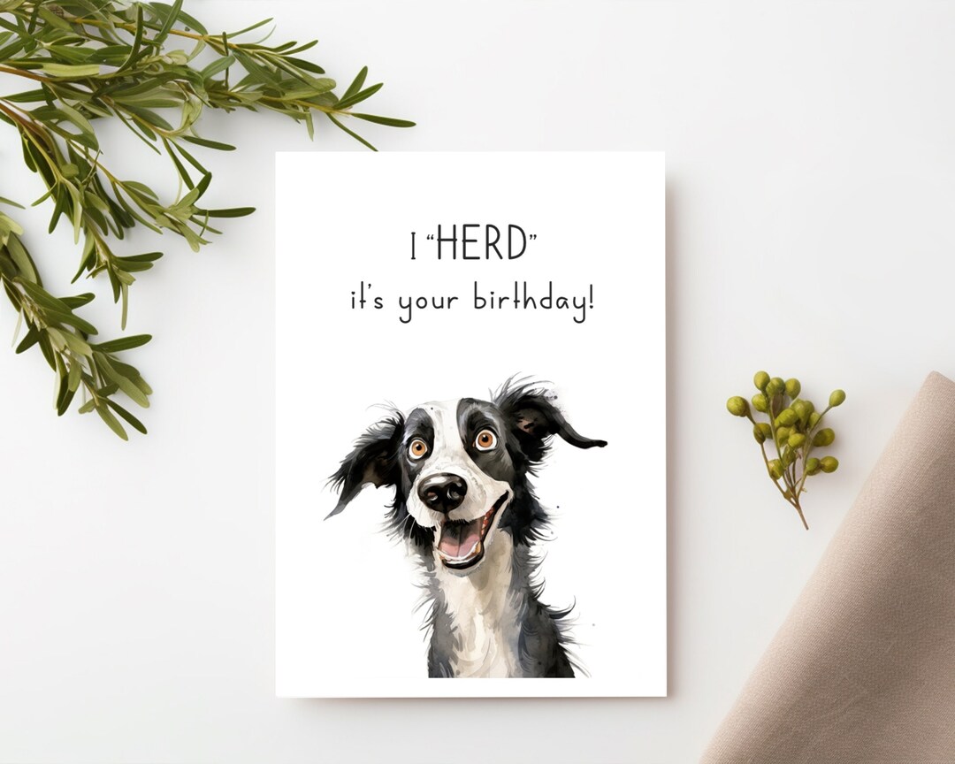 Happy Birthday Border Collie Card - Funny & Unique - Etsy