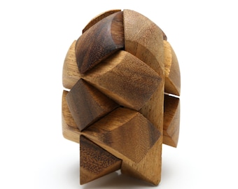 15 Locked Bricks Brain Teaser Puzzle 3D Wooden Interlocking | Etsy