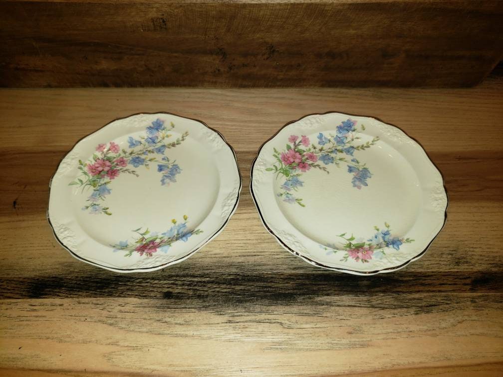 Set of 2 VTG TST Chelsea Pattern Plates - Etsy