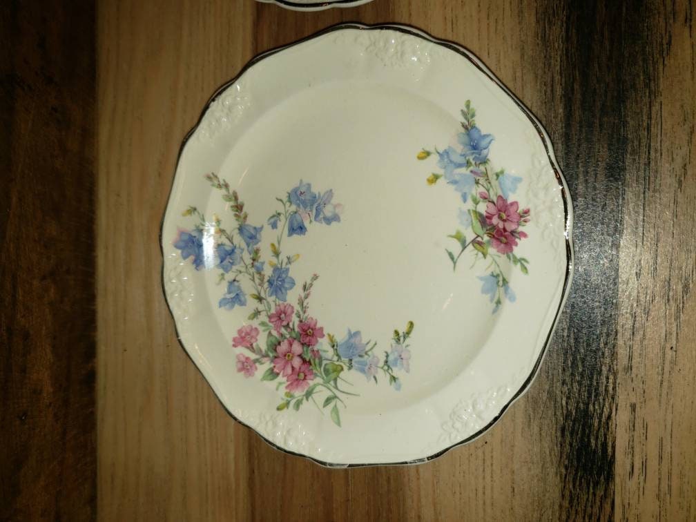 Set of 2 VTG TST Chelsea Pattern Plates - Etsy