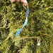 Hummingbird Swing/perch Handmade of Copper and Shades of Blue - Etsy