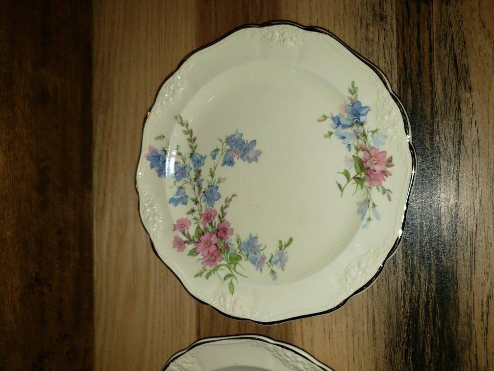 Set of 2 VTG TST Chelsea Pattern Plates - Etsy
