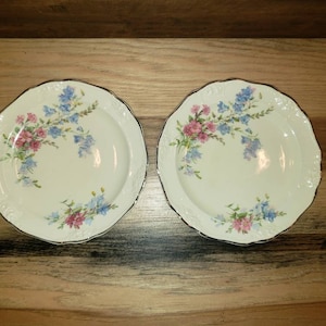 Set of 2 VTG TST Chelsea Pattern Plates - Etsy