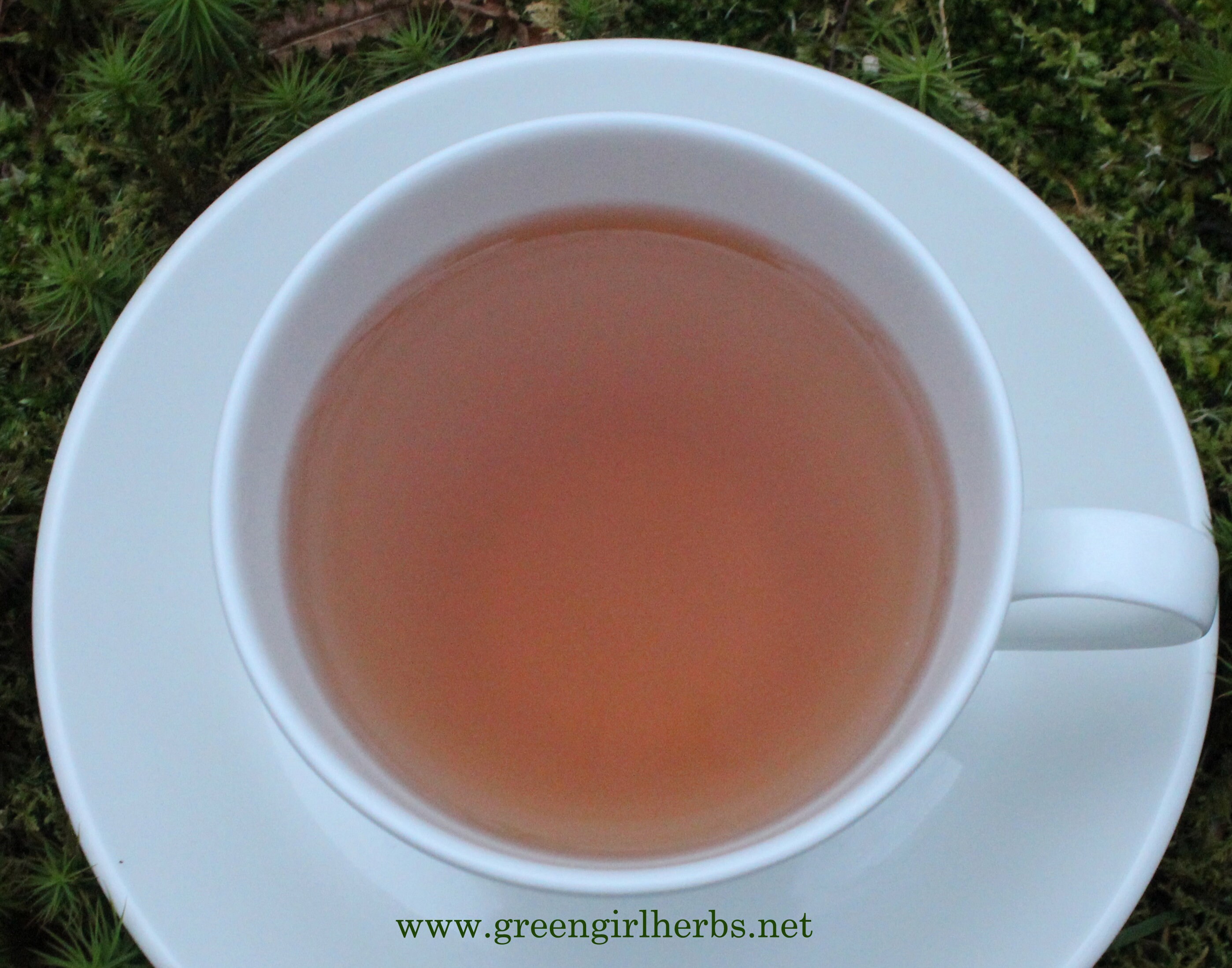 Love is in the Air Tea Organic Herbal Tea With Roses and Ginger Hand ...