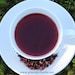 Rosey Red Organic Herbal Tea Made by an Herbalist Made - Etsy