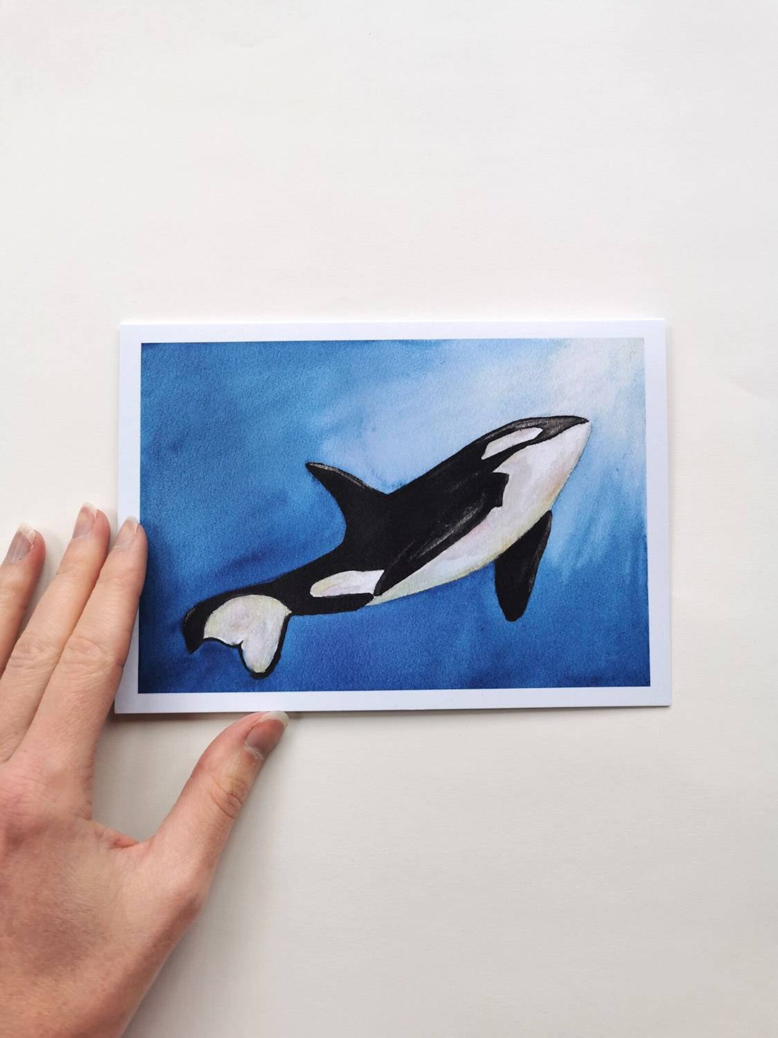 Watercolour Orca Greetings Card - Etsy