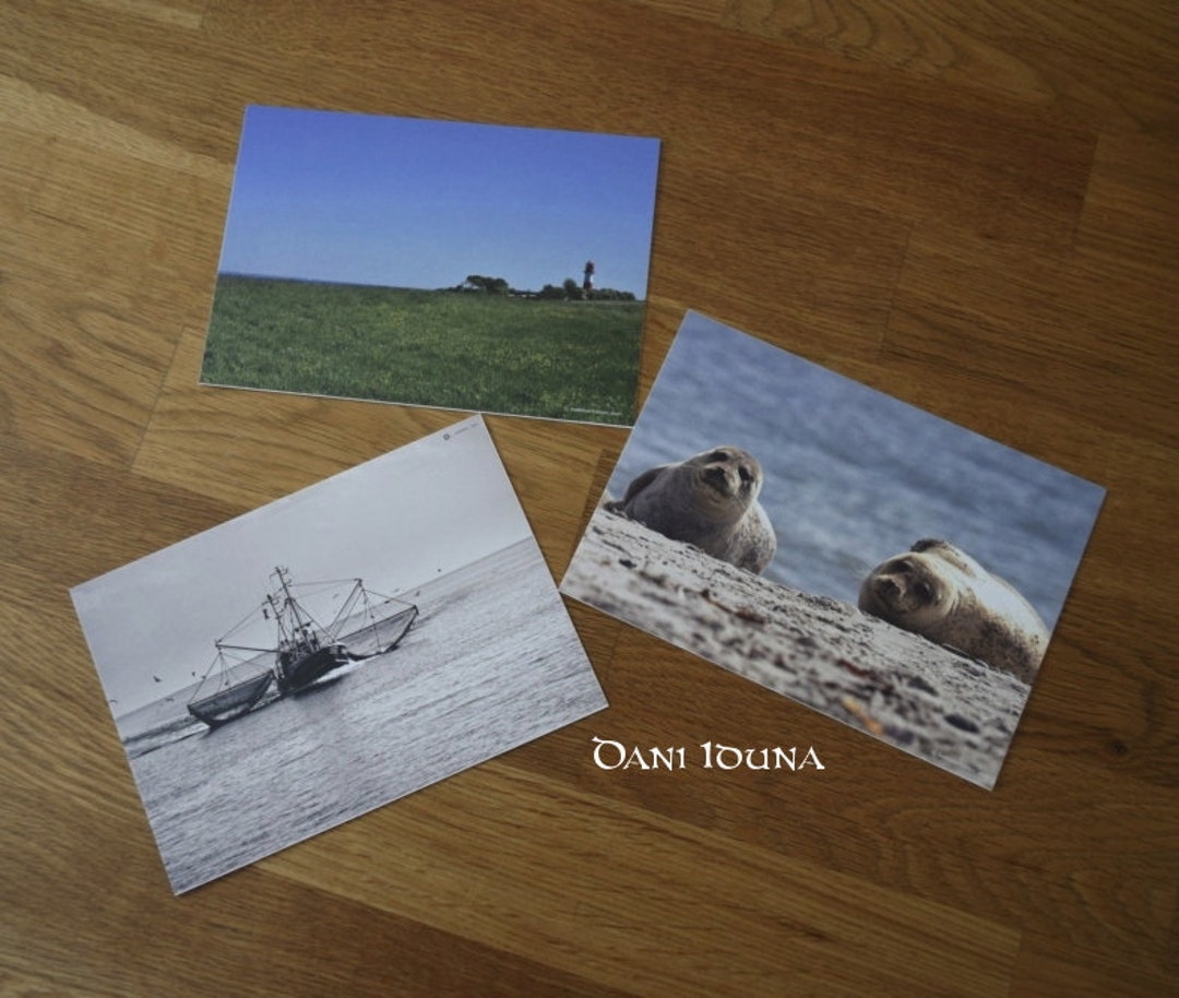 Postcards Seal, Lighthouse and Trawler, North Sea Postcards, Baltic Sea ...