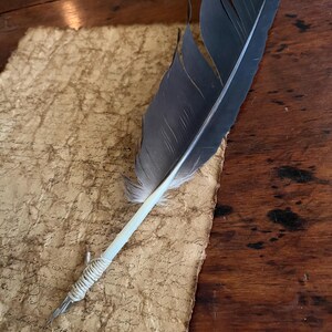 Decorative Feather Quill and Aged Parchment - Etsy
