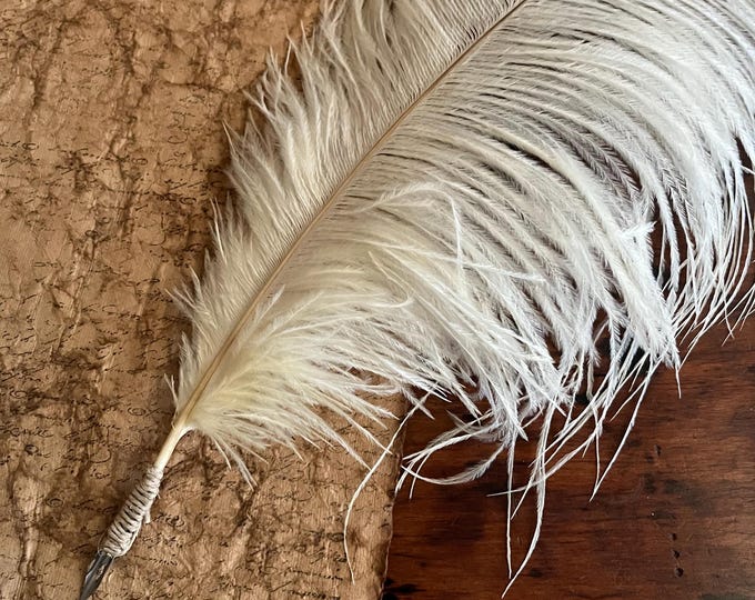 Decorative Feather Quill and Aged Parchment - Etsy