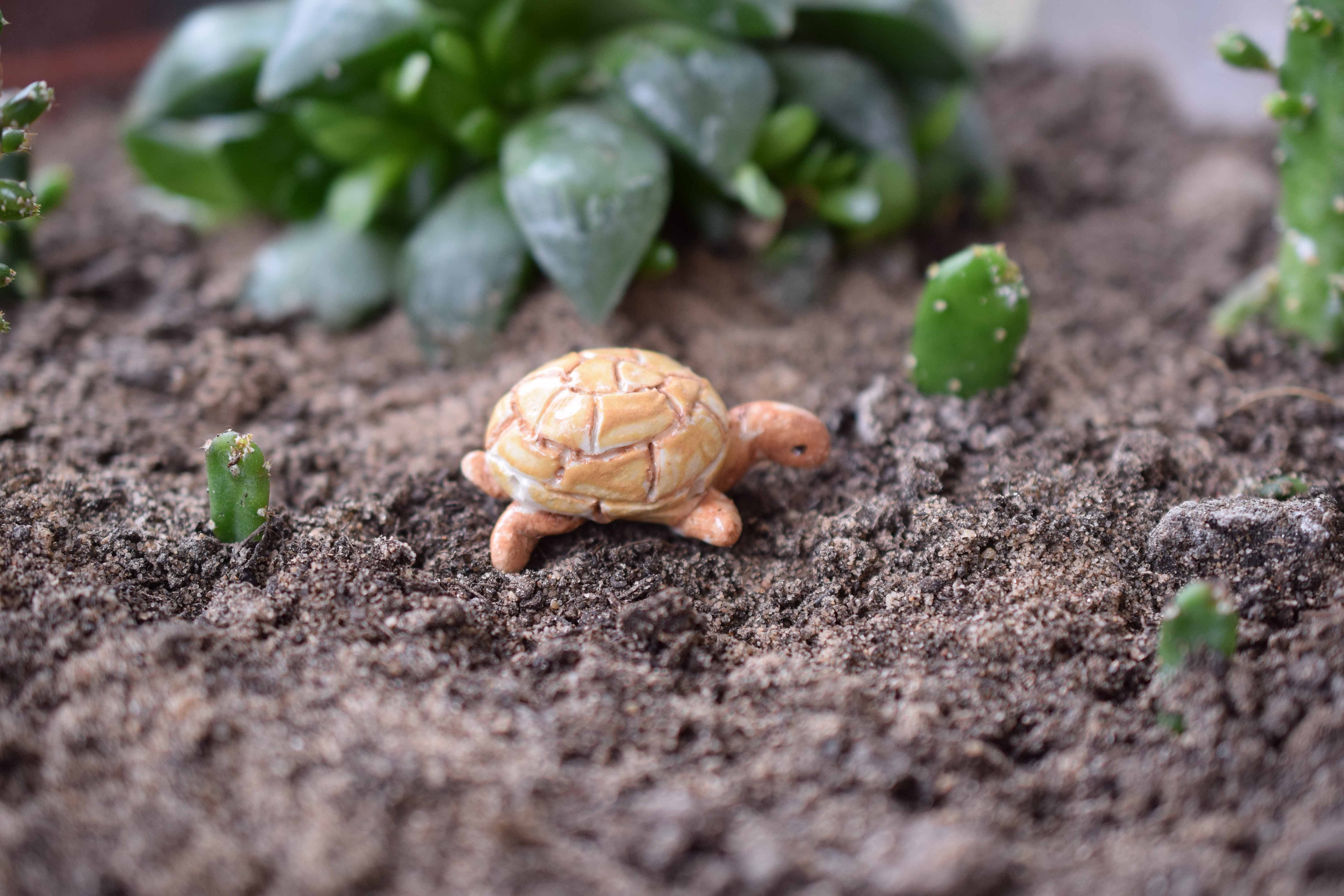 Miniature Ceramic Tortoise for Fairy Garden Stocking Filler - Etsy